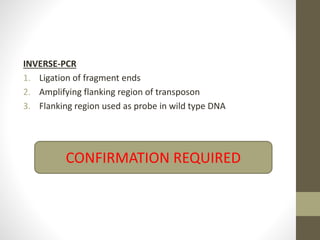 TRANSPOSON TAGGING | PPTX