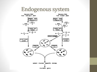 TRANSPOSON TAGGING | PPTX