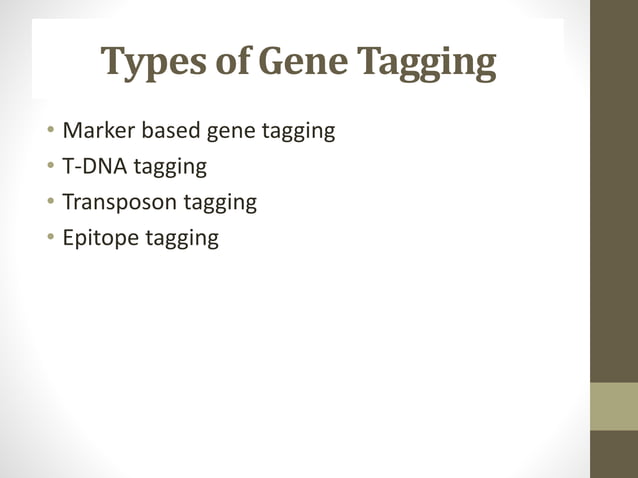 TRANSPOSON TAGGING | PPTX | Genetics | Science