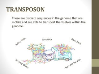 TRANSPOSON TAGGING | PPTX