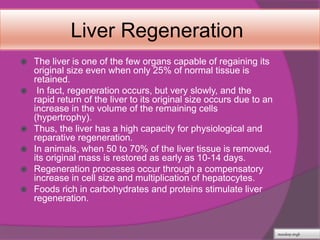 LIVER , REGENRATION , Liver cirrhosis,Histophysiology | PPTX