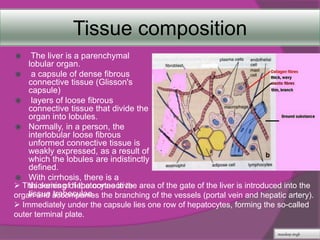 LIVER , REGENRATION , Liver cirrhosis,Histophysiology | PPTX