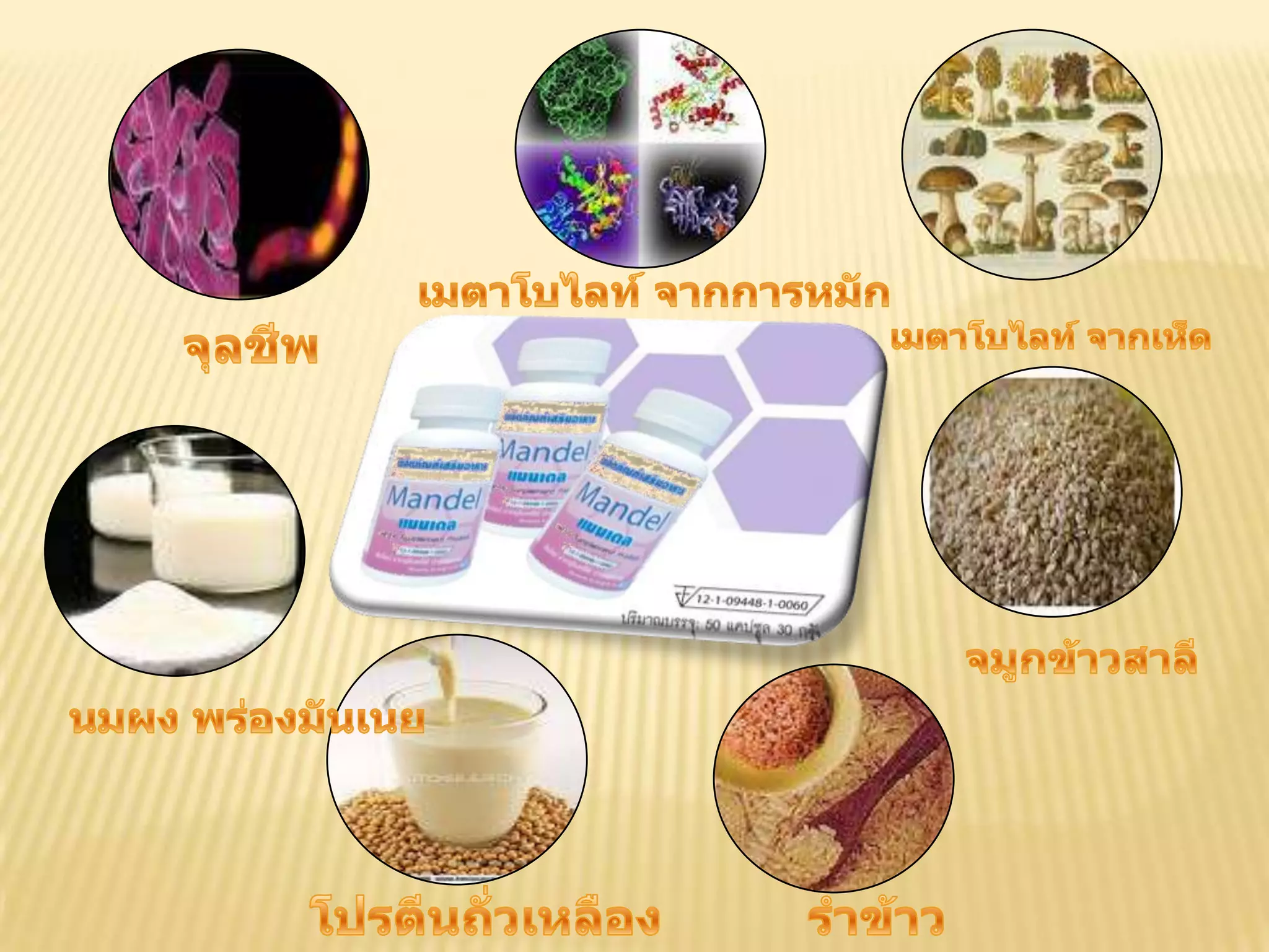 เสริมอาหารเพื่อสุขภาพจากเอนไซม์ Mandel | PPTX