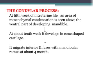 Mandible | PPT