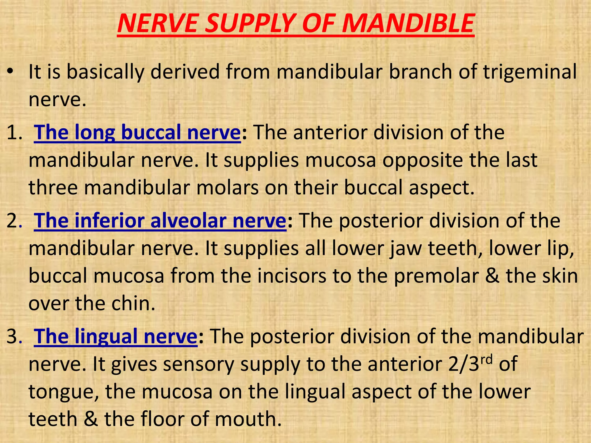 Mandible | PDF
