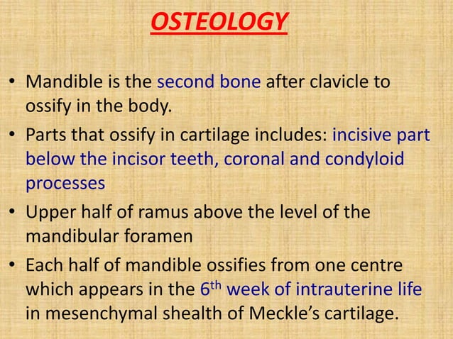 Mandible | PDF | Bone and Joint Conditions | Diseases and Conditions