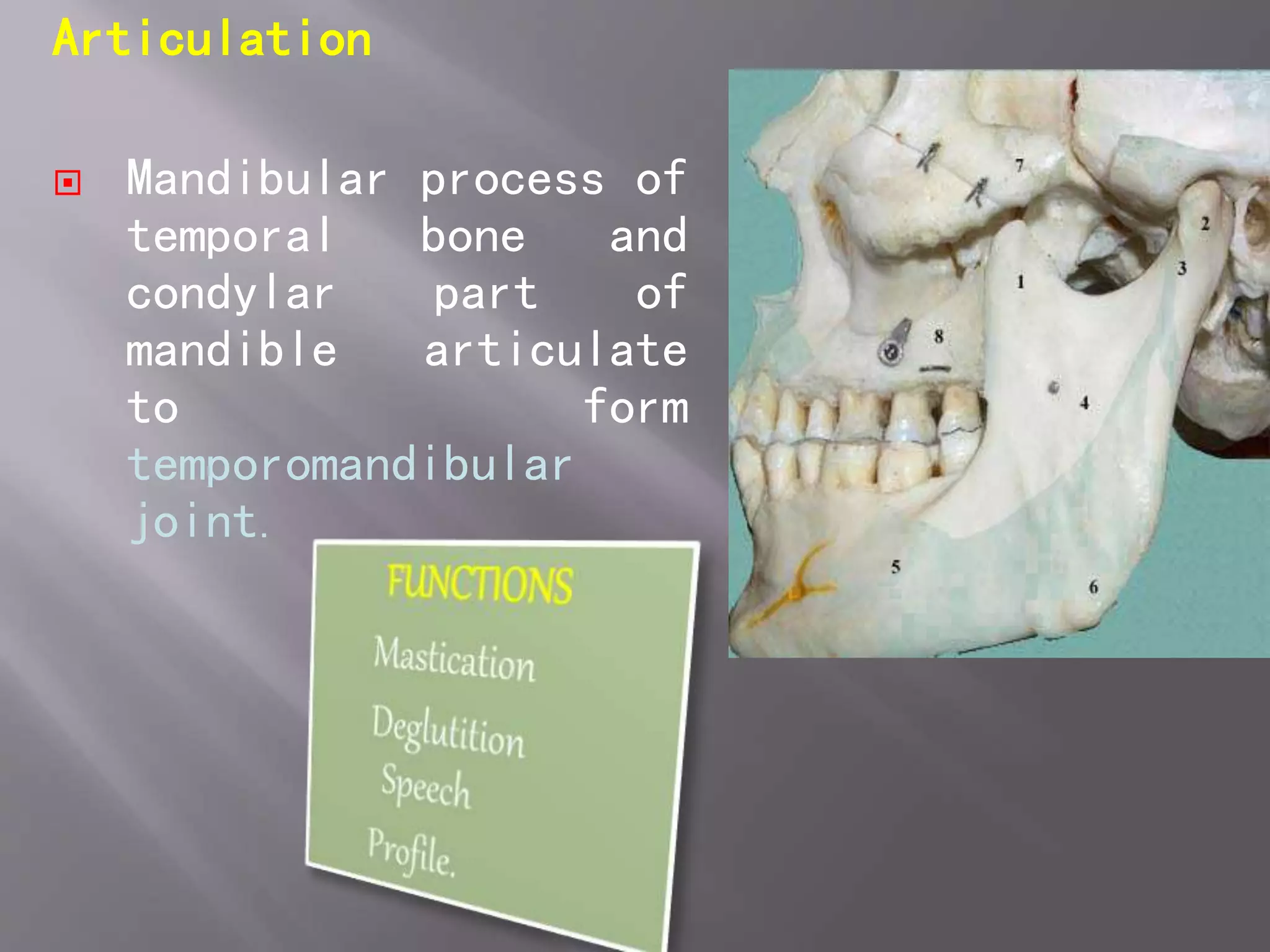 ANATOMY,DEVELOPMENT AND CLINICAL CONSIDERATION OF Mandible | PPT