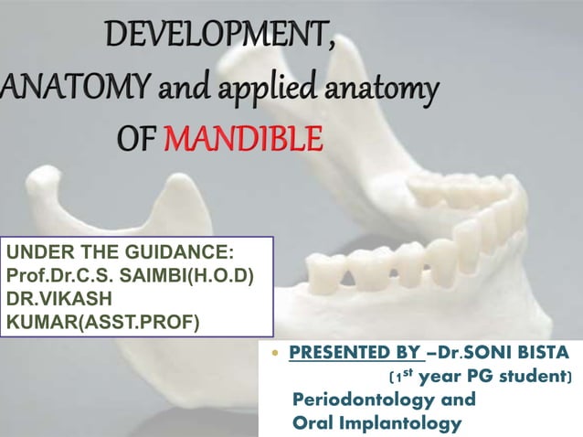 ANATOMY,DEVELOPMENT AND CLINICAL CONSIDERATION OF Mandible | PPT
