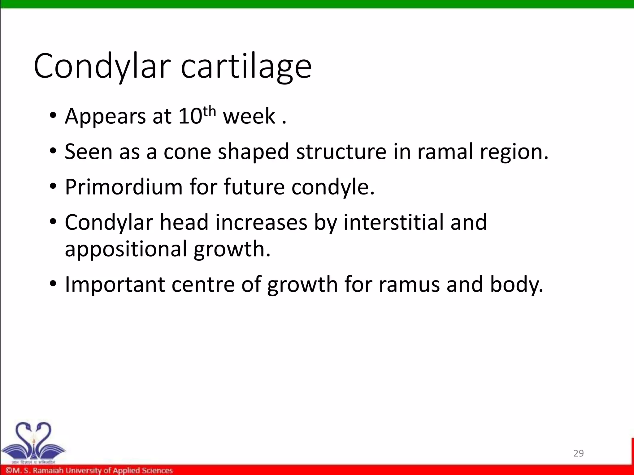 growth and development of Mandible | PPTX