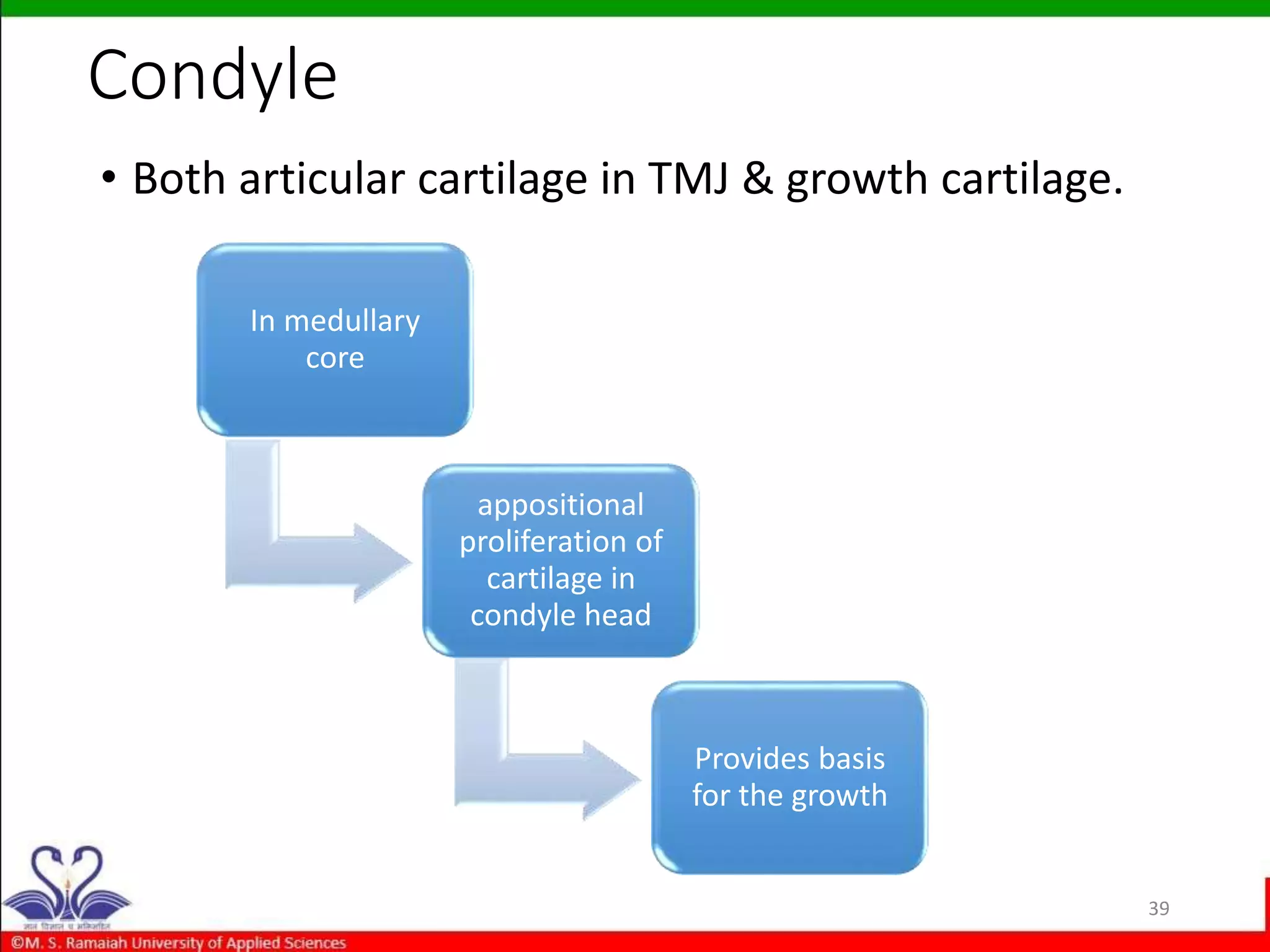 growth and development of Mandible | PPTX