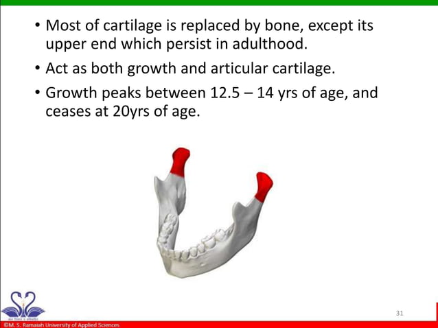 growth and development of Mandible | PPTX