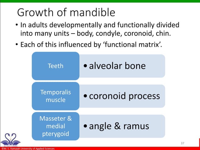 growth and development of Mandible | PPTX