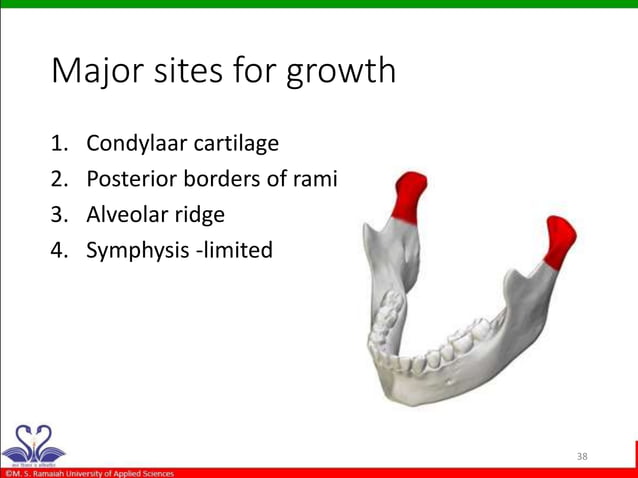 growth and development of Mandible | PPTX