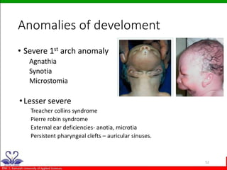 growth and development of Mandible | PPTX