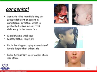growth and development of Mandible | PPTX