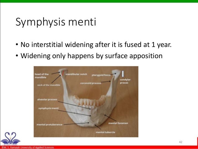 growth and development of Mandible
