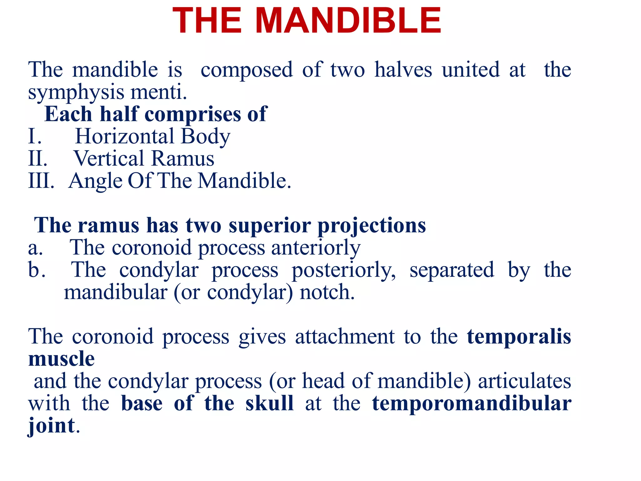 Mandible.pptx