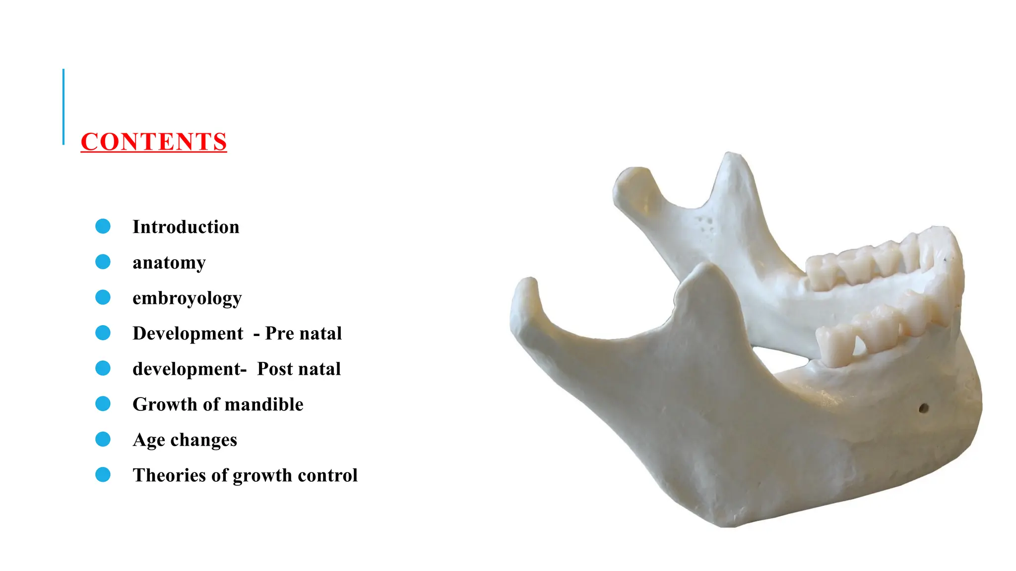 Structural and Functional Overview of the Human Mandible: Anatomy ...