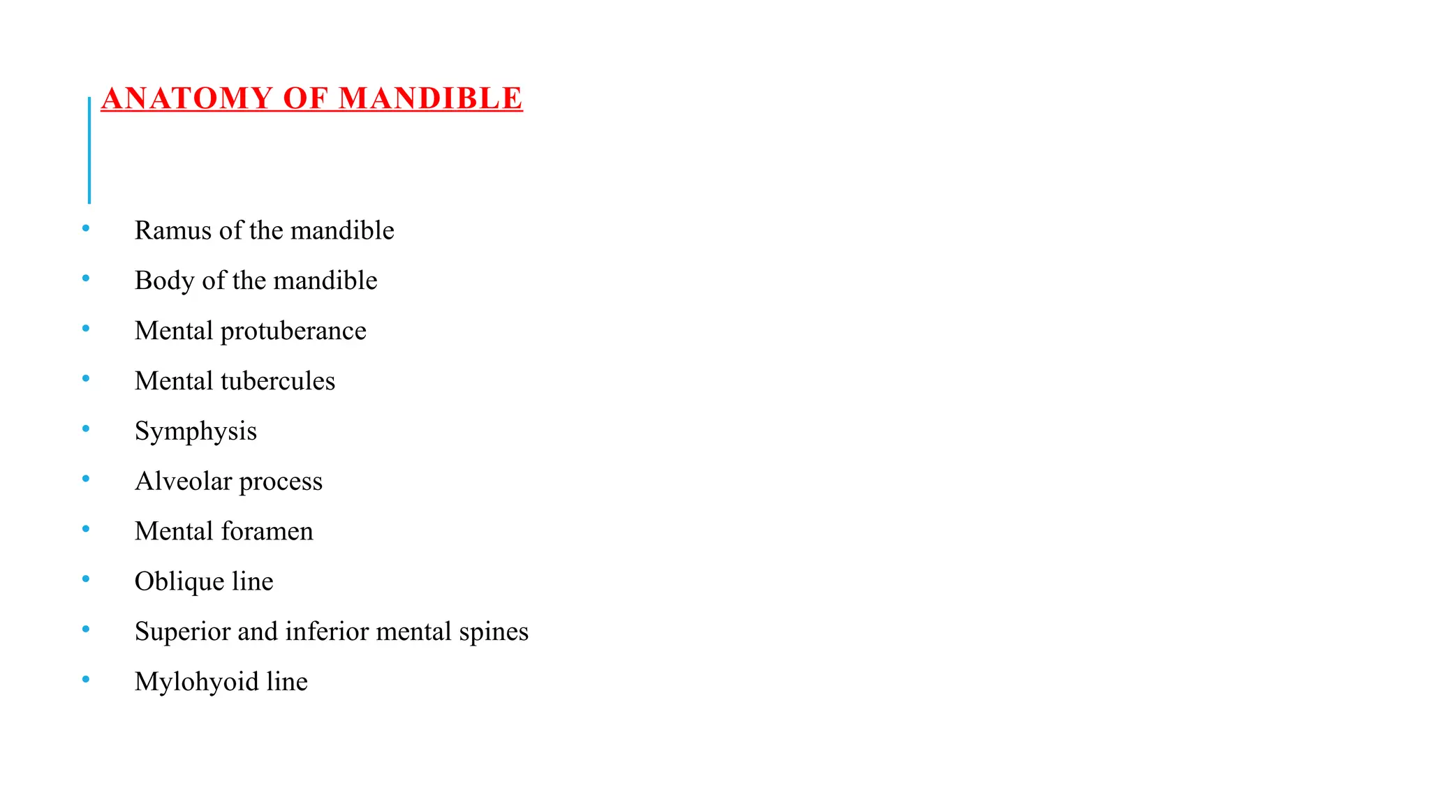 Structural and Functional Overview of the Human Mandible: Anatomy ...
