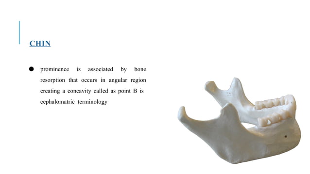 Structural and Functional Overview of the Human Mandible: Anatomy ...