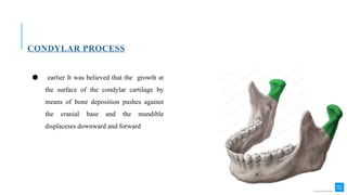 Structural and Functional Overview of the Human Mandible: Anatomy ...