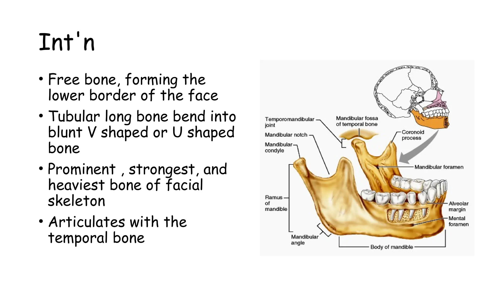 Mandibular fractures and their management | PPTX