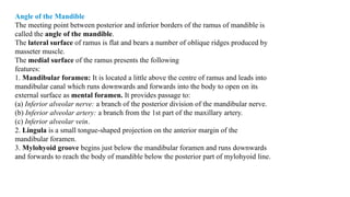 Anatomy of Mandible- nerve supply, muscles.pptx
