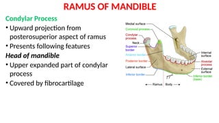 Clinical Surgical and Applied Anatomy of Mandible.pptx
