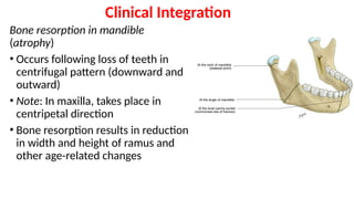 Clinical Surgical and Applied Anatomy of Mandible.pptx