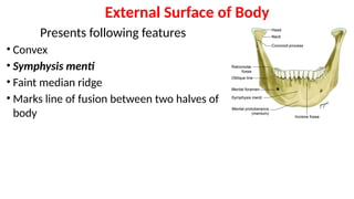 Clinical Surgical and Applied Anatomy of Mandible.pptx