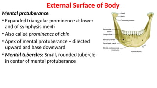 Clinical Surgical and Applied Anatomy of Mandible.pptx