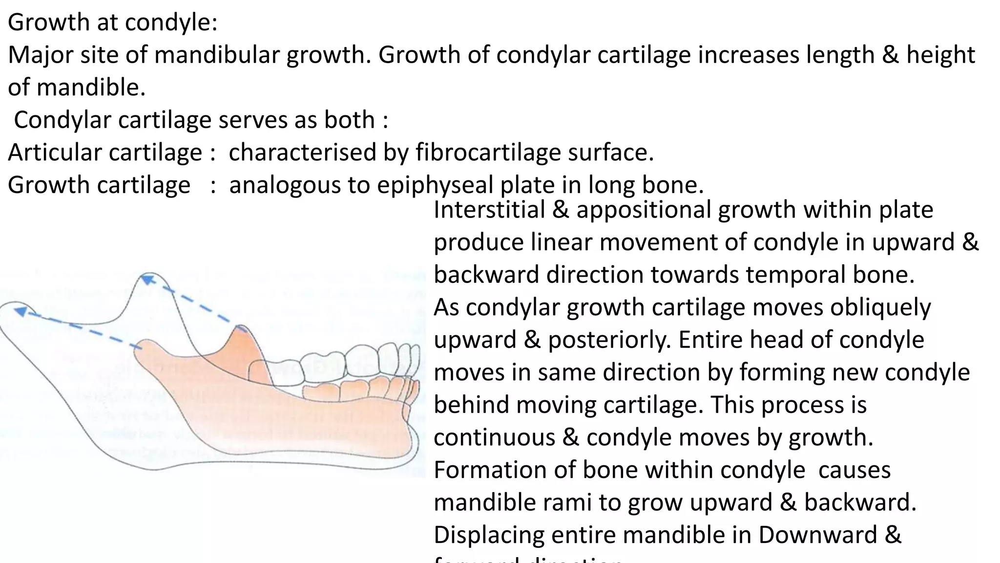 Mandible | PPTX