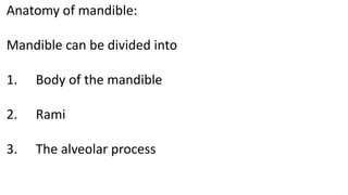 Mandible | PPTX