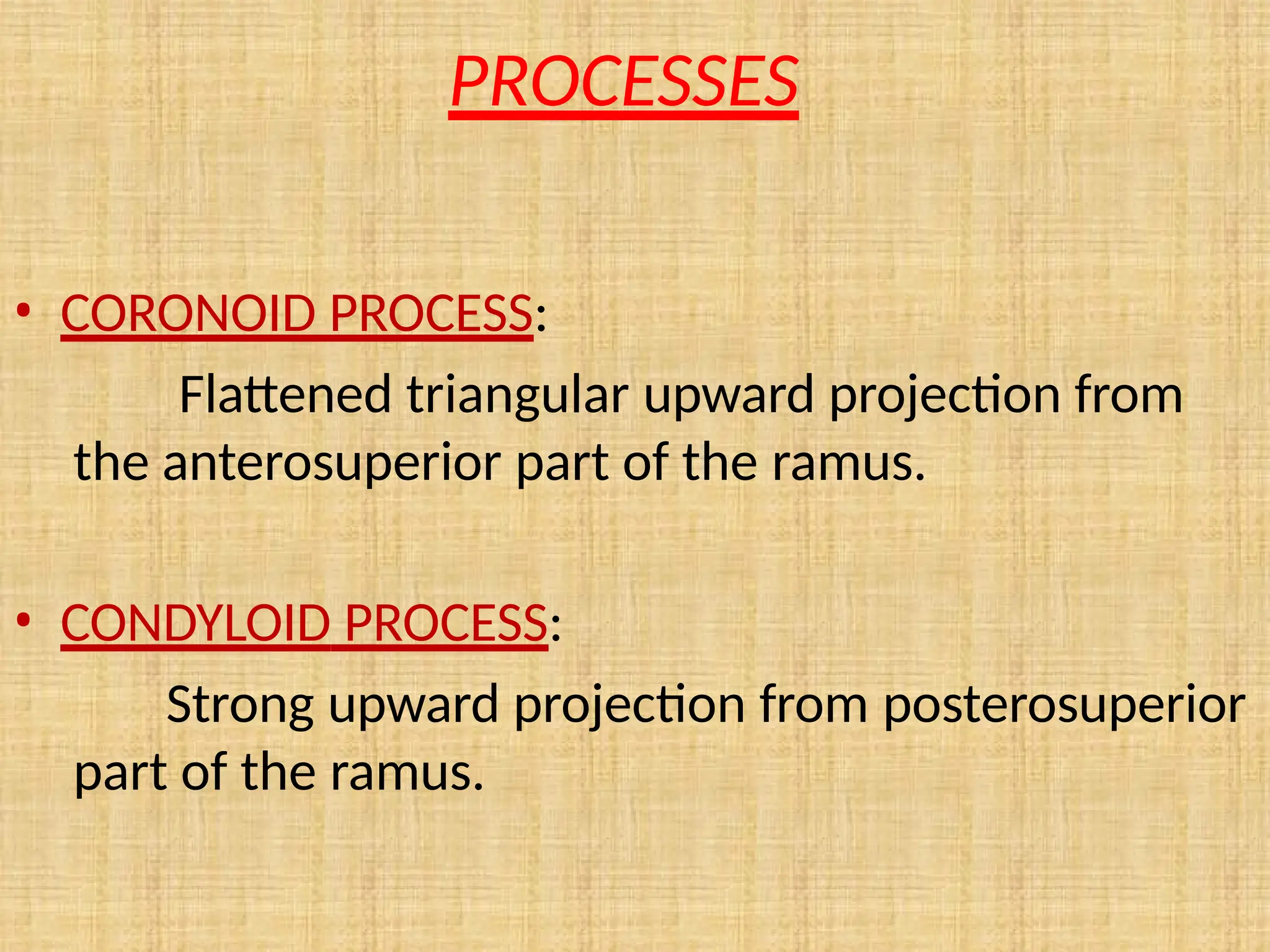 mandible anatomy- anatomy- anatomy- anatomy.pptx