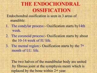 mandible anatomy- anatomy- anatomy- anatomy.pptx
