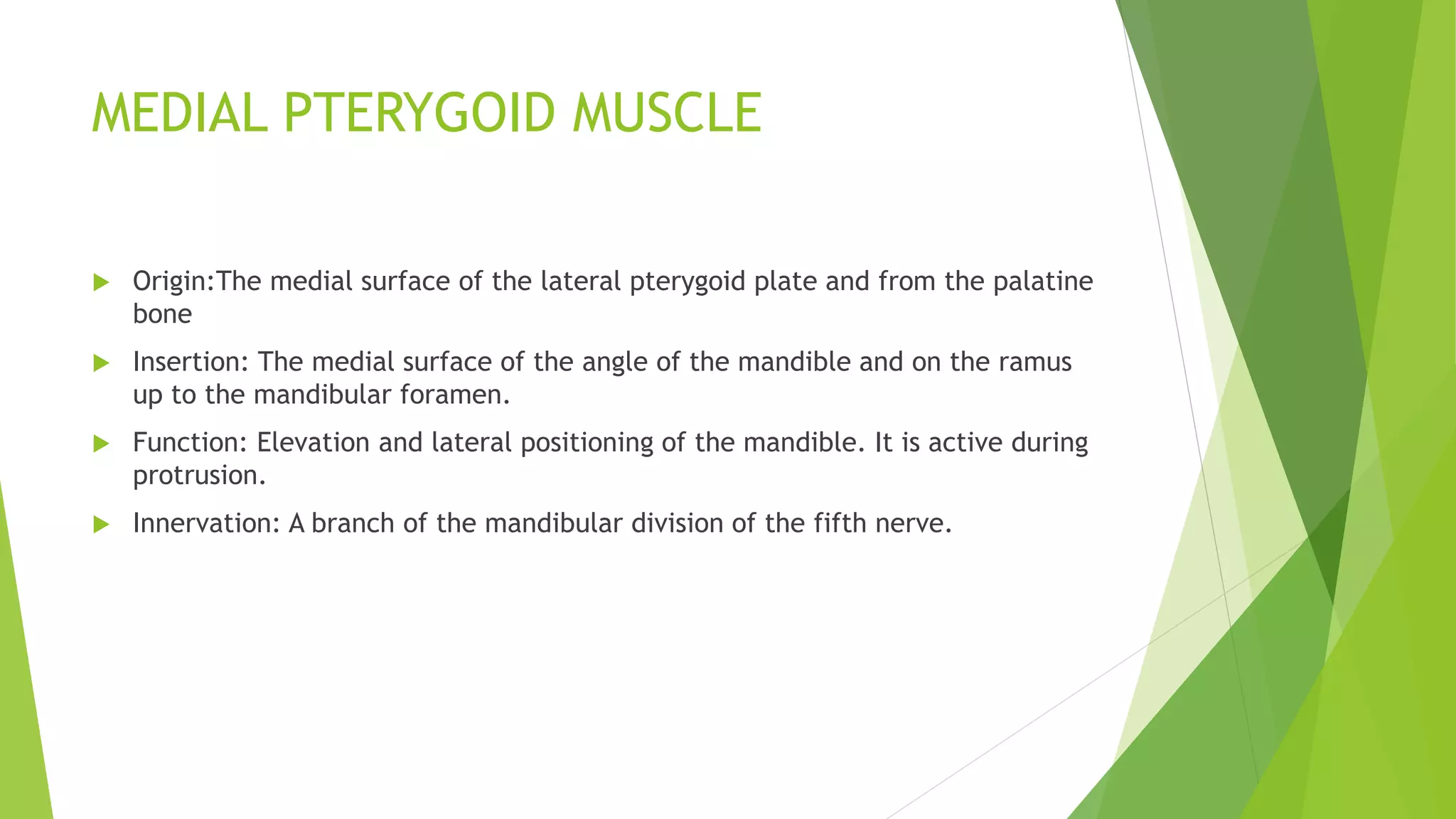 Mandible anatomy2.pptx