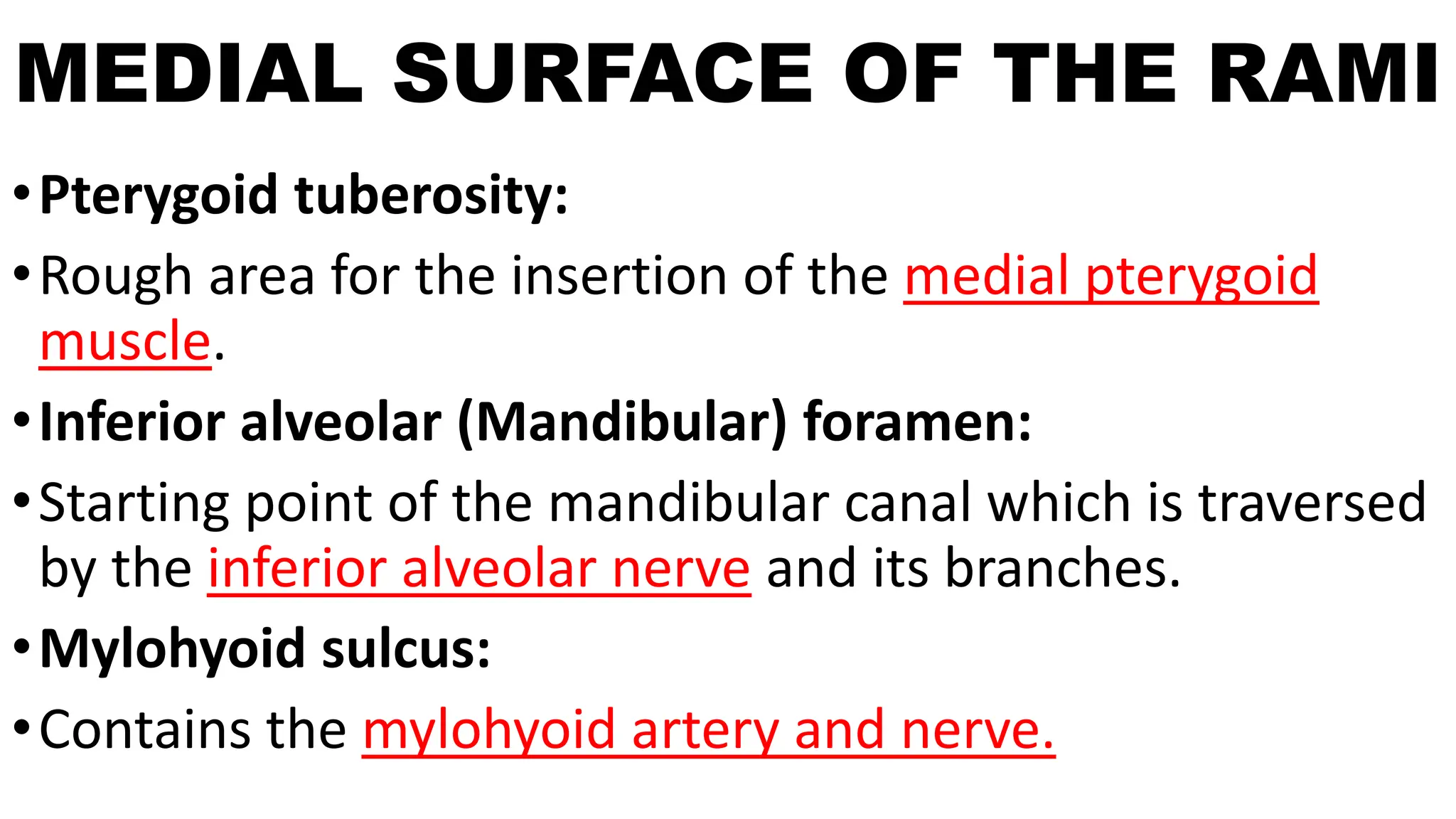Mandible and Hyoid Bones gross features.pptx