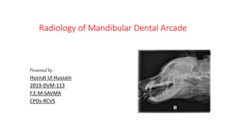 Radiology Canine mandible dental arcade.pptx