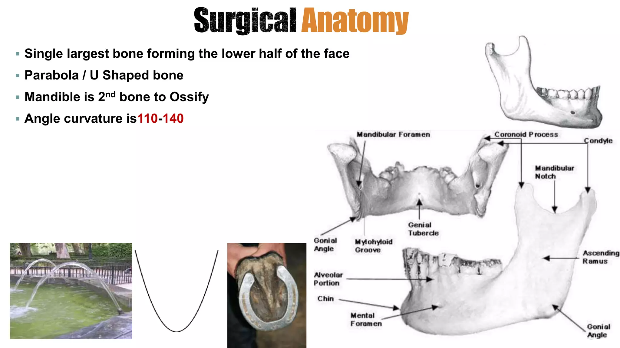 Mandibular Fractures | PPTX
