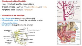 Mandibular Fractures | PPTX