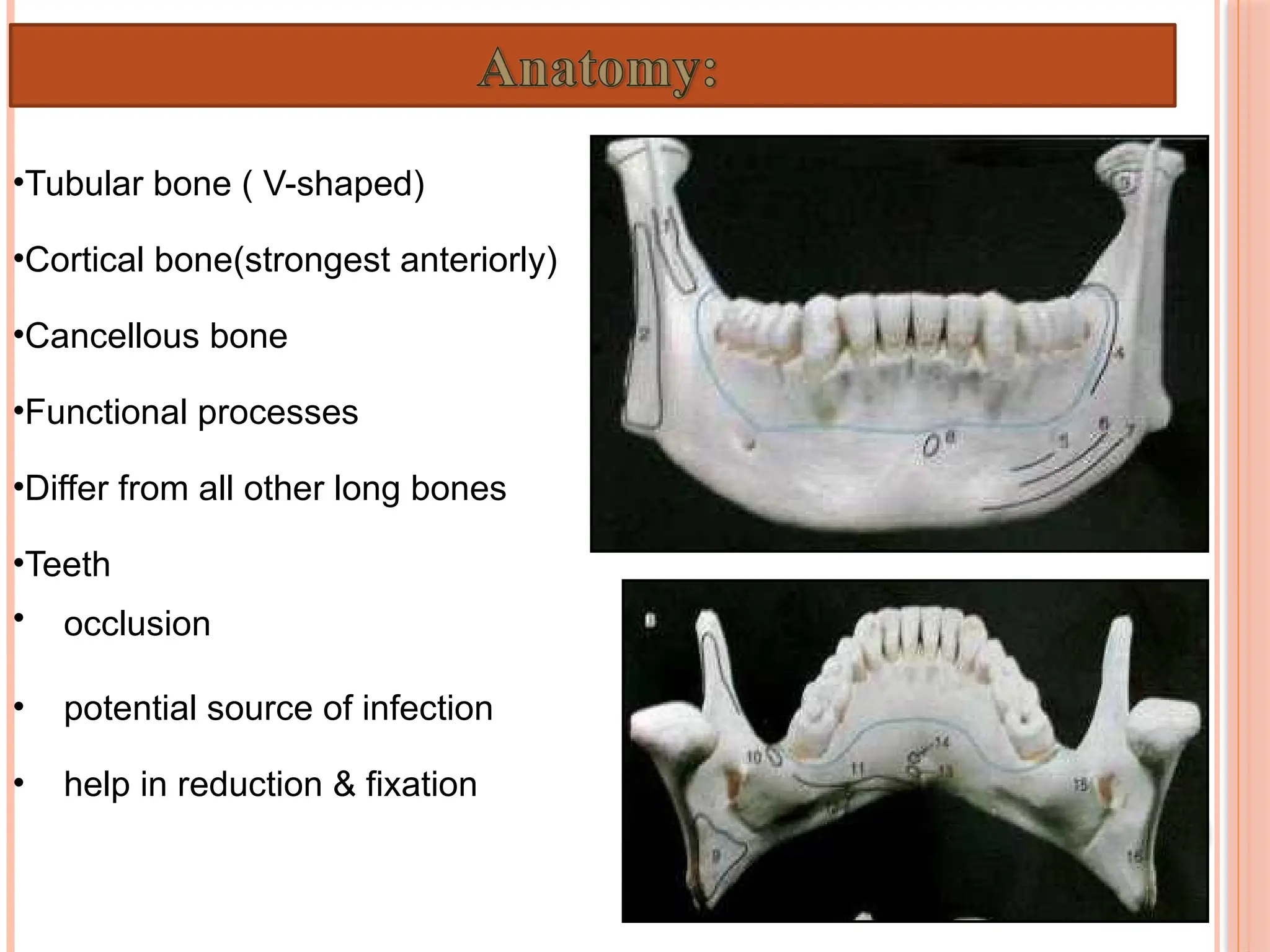 Mandible fractures Part 1 of oral surgery | PPTX