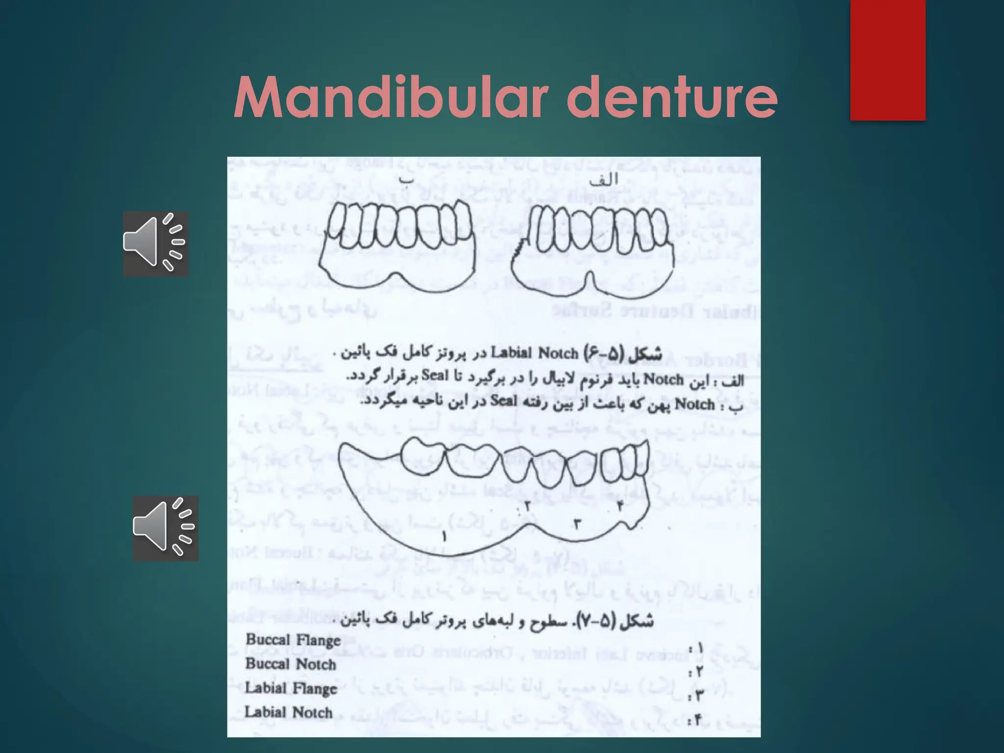 Mandible & Mandibular Denture anatomy1.pptx