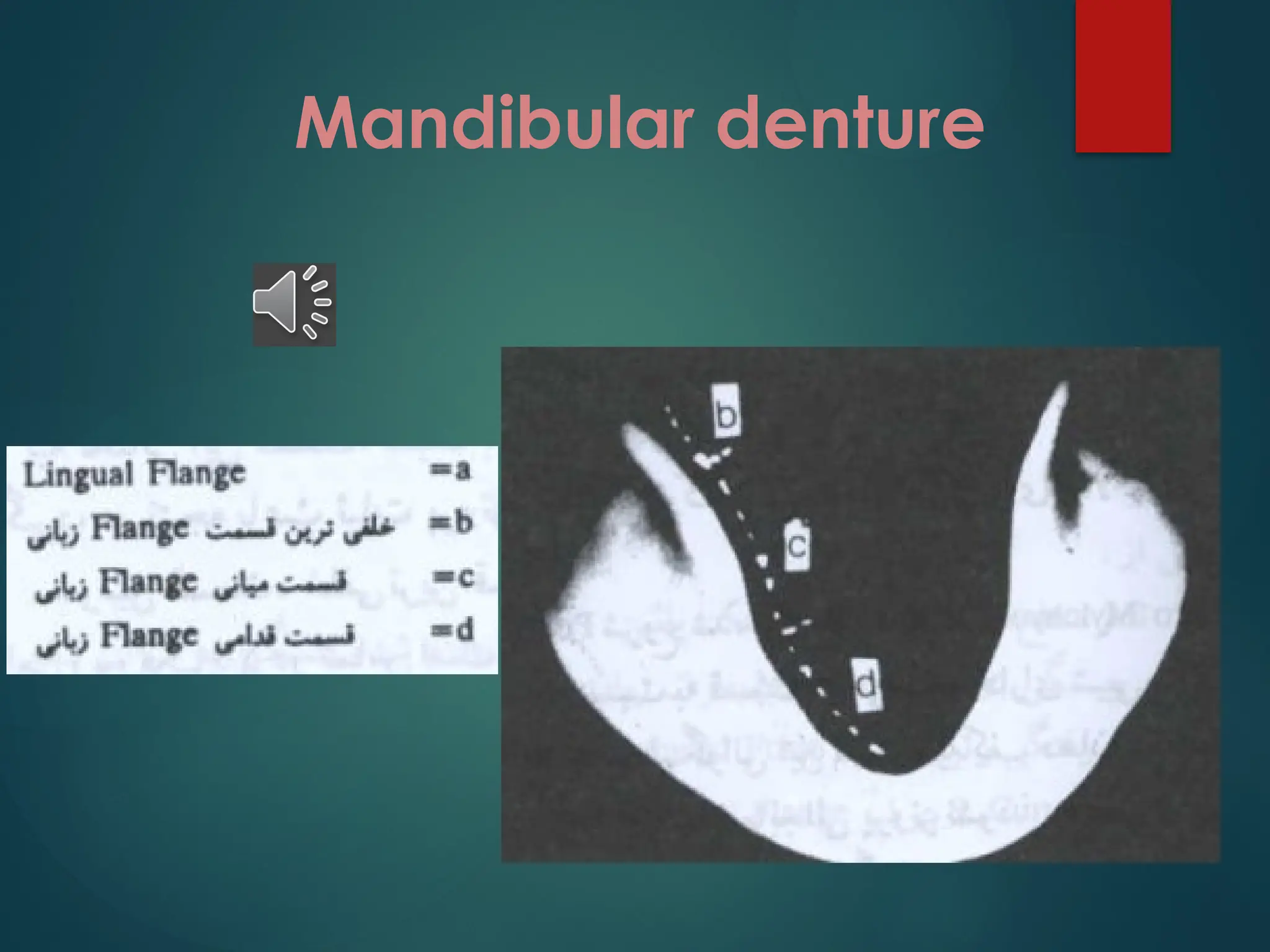 Mandible & Mandibular Denture anatomy1.pptx
