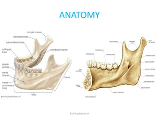 MANAGING MANDIBLE IN ORAL CAVITY CANCERS ppt(1).pptx