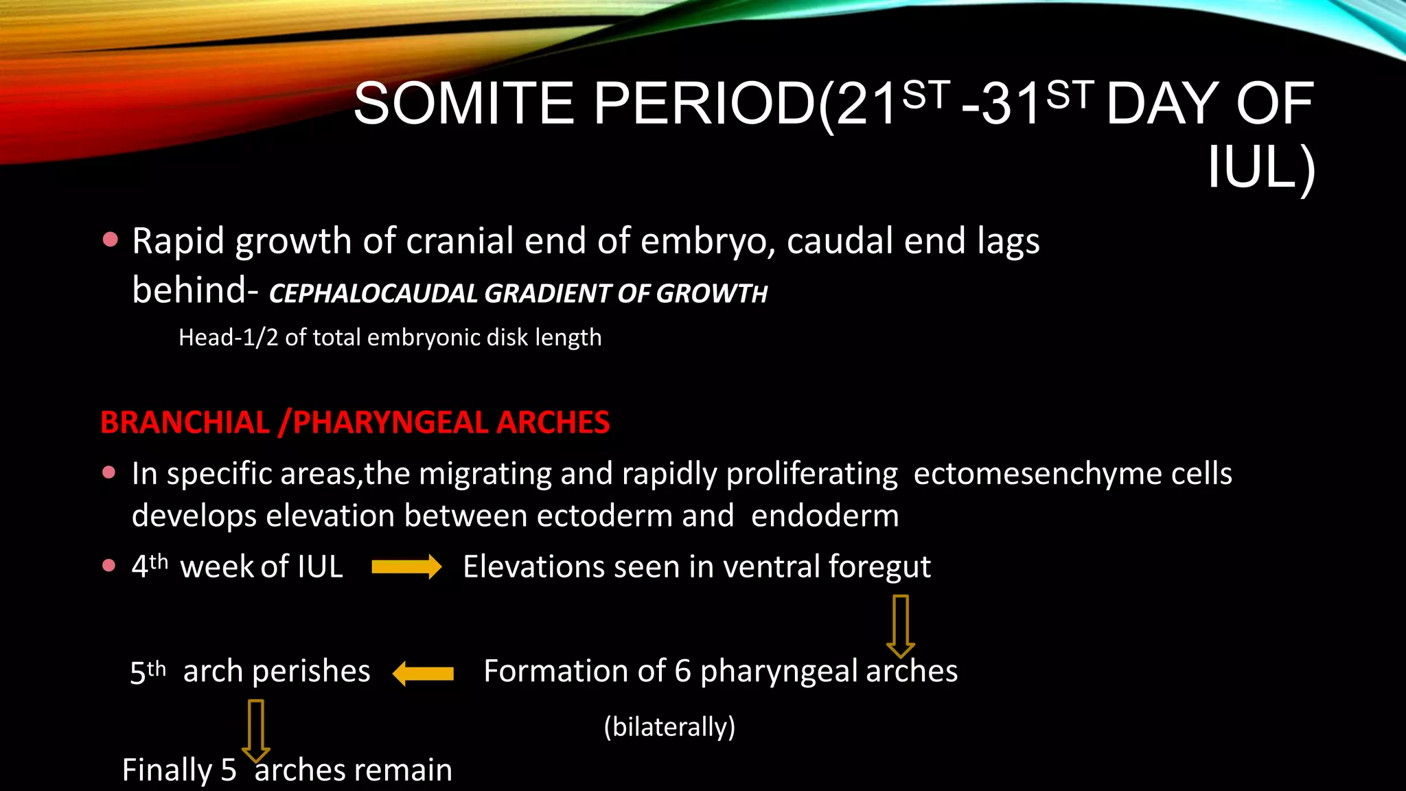 Growth and Development of Mandible | PPTX
