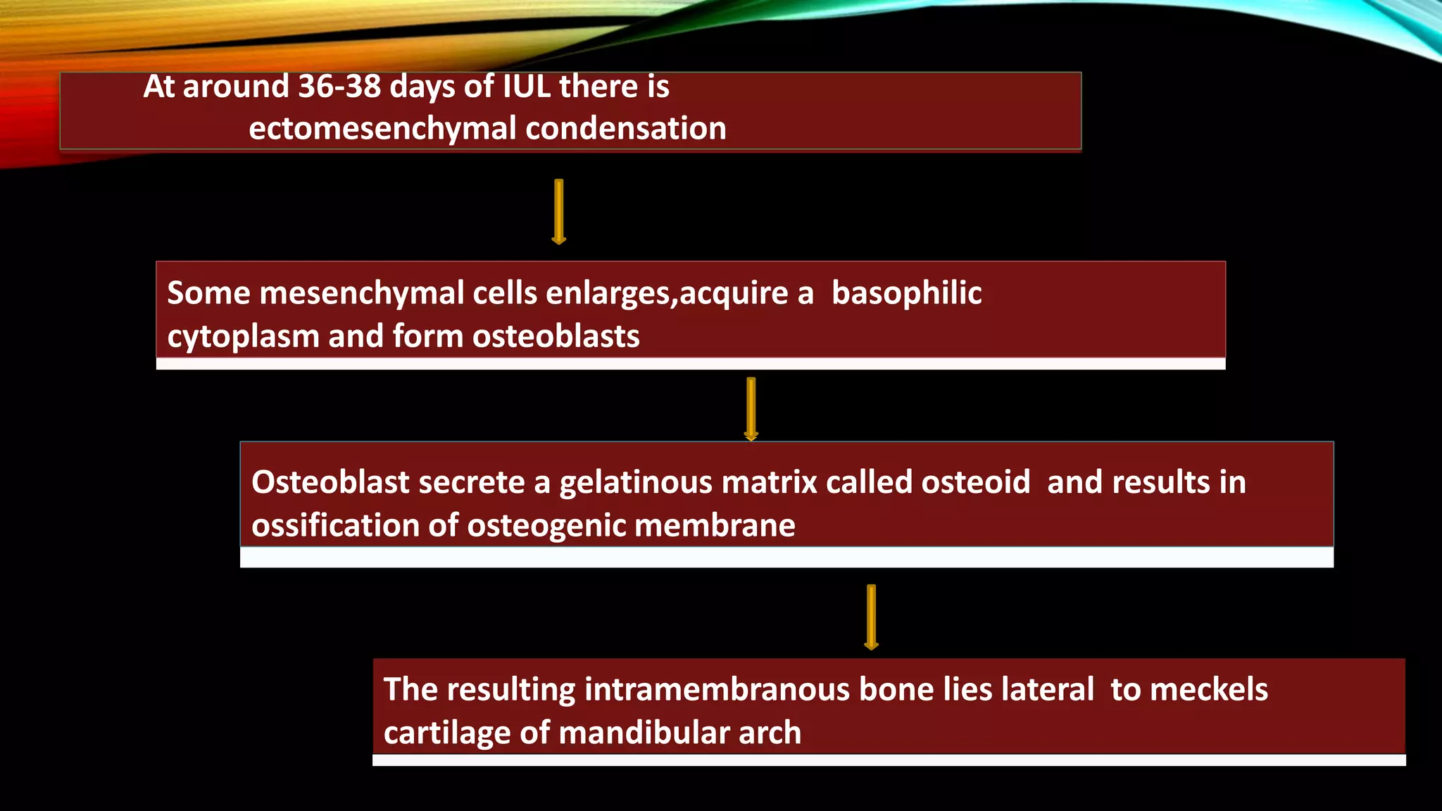 Growth and Development of Mandible | PPTX