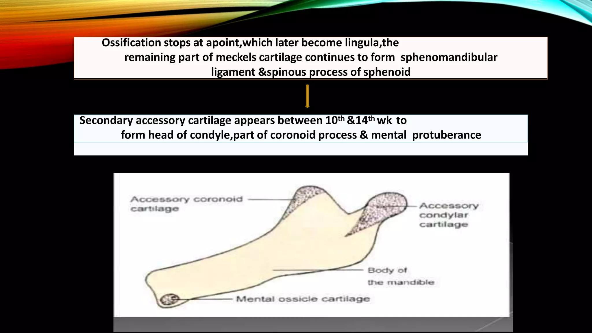 Growth and Development of Mandible | PPTX
