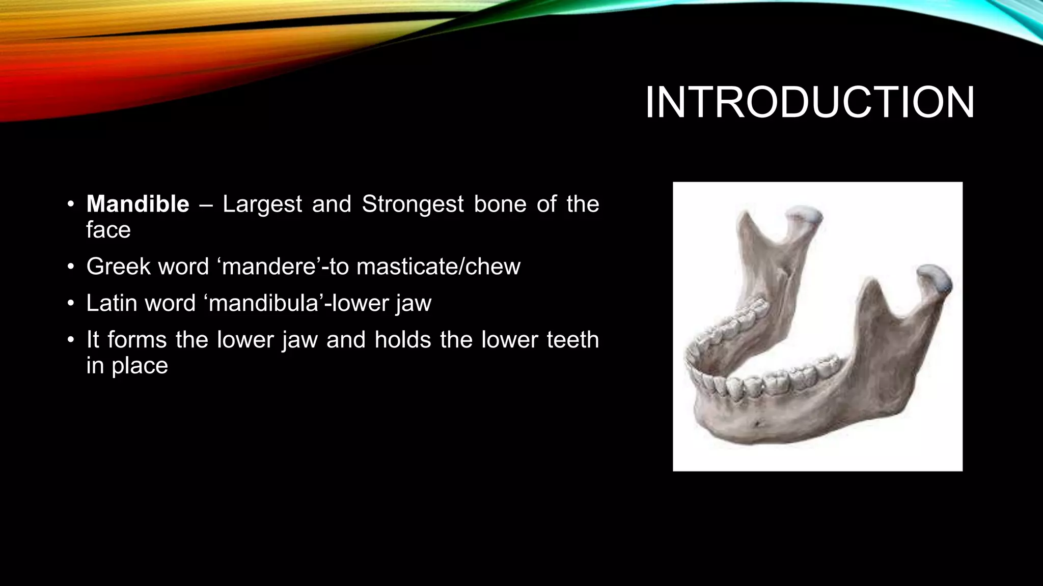 Growth and Development of Mandible | PPTX