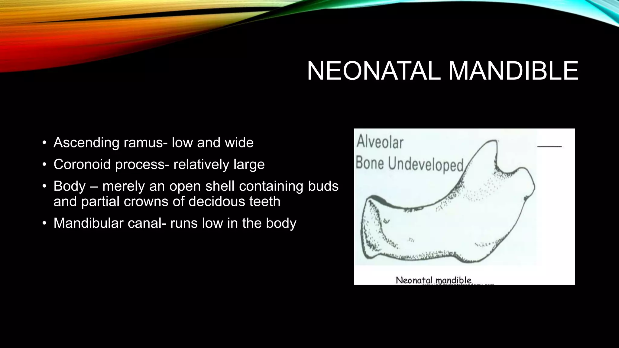 Growth and Development of Mandible | PPTX
