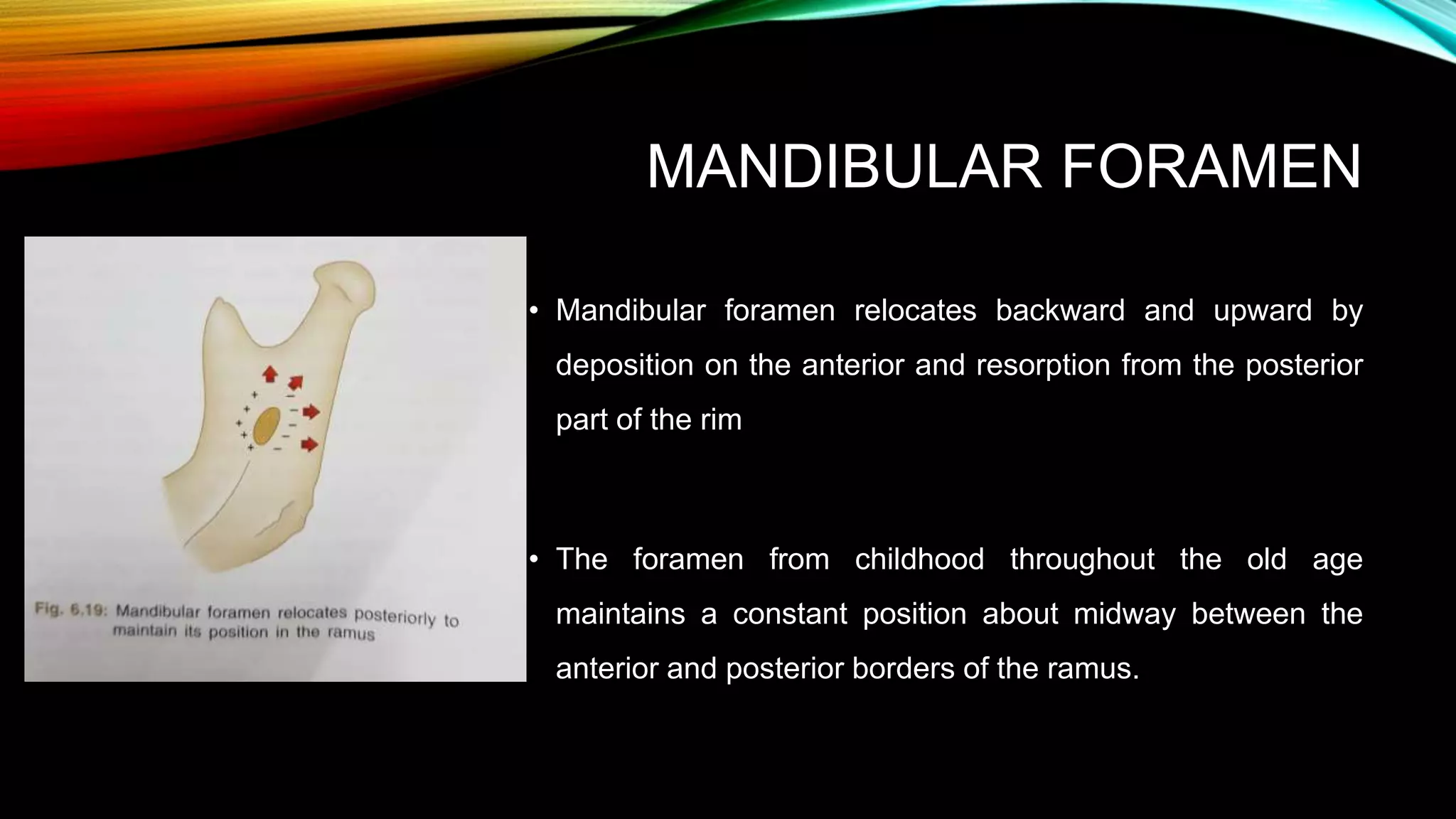 Growth and Development of Mandible | PPTX